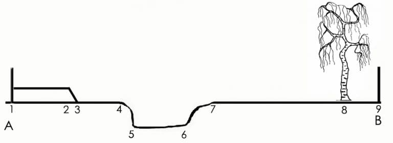 Sections and Section Elevations – Edinburgh Garden School