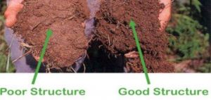 Flocculation and Dispersion in Soils – Edinburgh Garden School